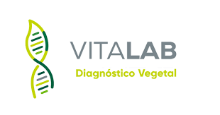 Viveros de Chile AGV - Proveedores